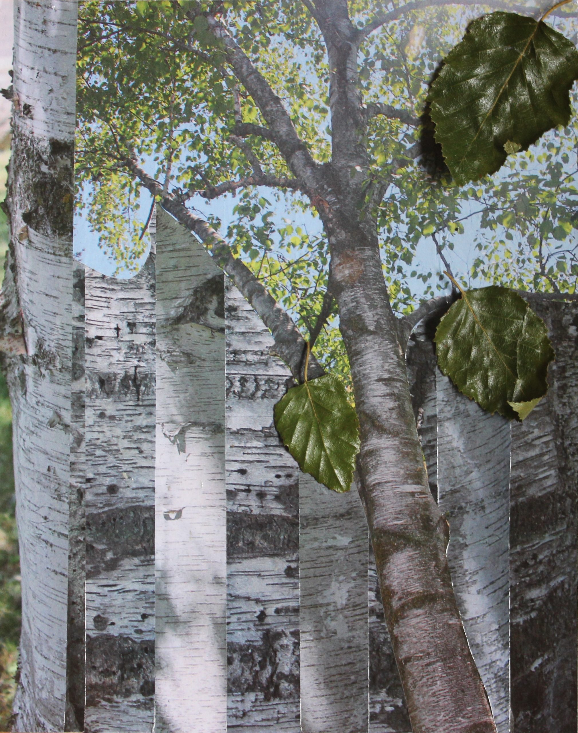 ART WORKS | Christine Cho
